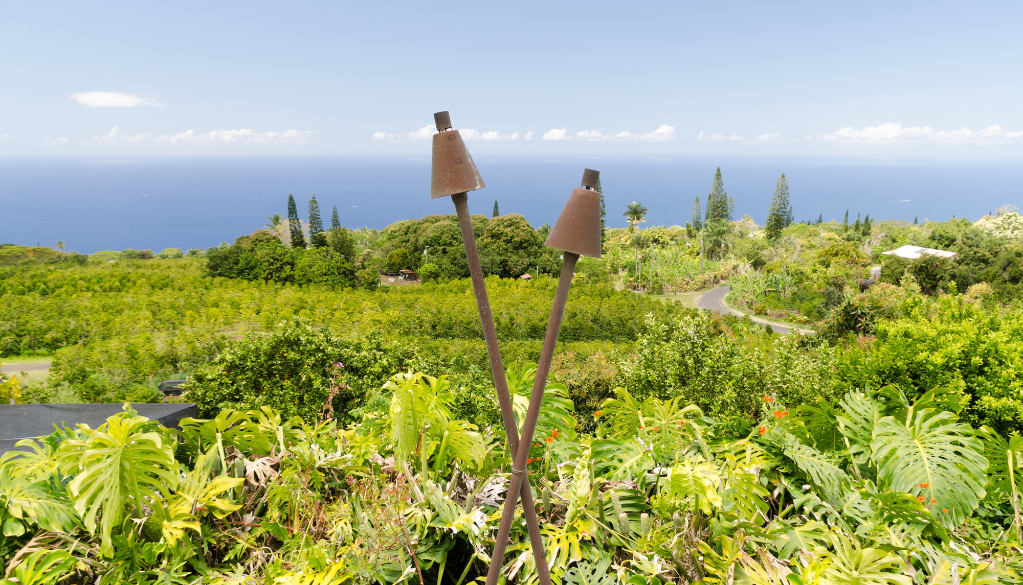 The 10 best farm tours on the Big Island of Hawaii